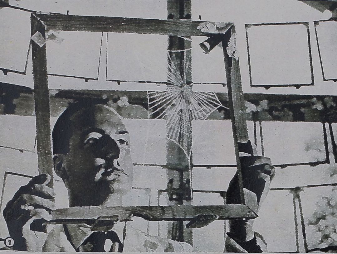 Peter Witt Biography - Spiders, Drugs and Human Behavior